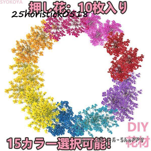 [セット内容]押し花：10枚入[カラー]ホワイト/レッド/イエロー/レモンイエロー/オレンジ色/ライトブルー/ブルー/ネイビー/ライトピンク/ピンク/パープル/ライトパープル/グリーン/ローズA/ローズB【素材】本物の押し花自然の草花を乾燥...