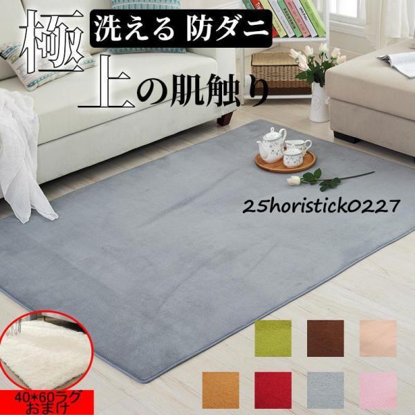 ◆POINT：1【幅広い用途】あらゆる部屋に適しています：居間、寝室、玄関ホール.....◆POINT：2【環境保護】防ダニ・抗菌・防臭仕様フルカラー、退色なし、ボールなし、より便利な入場。◆POINT：3【簡単に掃除】水洗いや洗濯機もサポ...