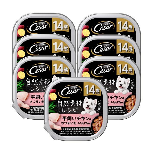 シーザー ドッグフード 自然素材レシピ 14歳からの 平飼いチキン&amp;さつまいも・いんげん 85グラム (x 7) (まとめ買い) ・原材料:肉類(チキン、家禽等)、さつまいも、いんげん、チコリー繊維、ビートパルプ、フィッシュオイル(...
