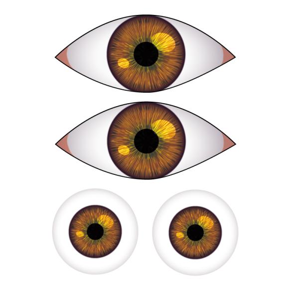 見てます見てます…目玉、瞳を大きくステッカーにしました！車、バイク、別のものに貼るのもよし！なんでもよし！です！車やバイクに貼るような丈夫な素材で作っているので、雨風に強く屋外でのご使用も問題ありません^^*※写真一枚目のものが商品です。※...