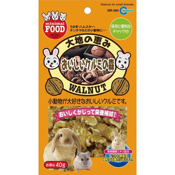 【商品名】 （まとめ）マルカン おいしいクルミの森 40g ハムスターフード 【×10セット】 【ジャンル・特徴】 おいしくかじって栄養補給。