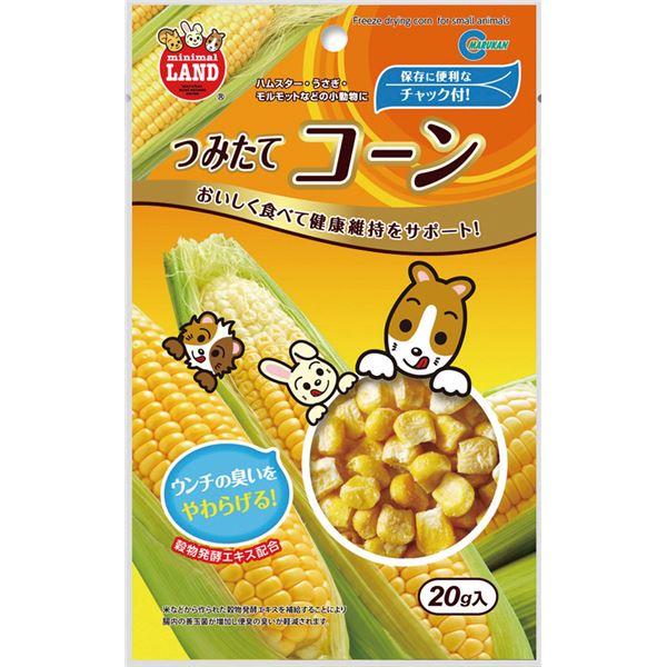 【商品名】 （まとめ）マルカン つみたてコーン 20g ハムスターフード 【×10セット】