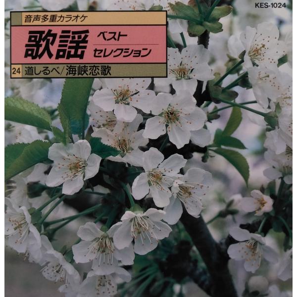 【発売日：2026年06月08日】【送料無料】cd10638/音声多重カラオケ 歌謡ベストセレクション24　道しるべ/海峡恋歌　/中古【CD】「帯あり・歌詞あり」。【ＣＤ：中古品/レンタルアップ品】ケースに多少の擦り傷などがある場合がありま...