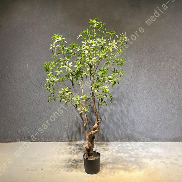 【発売日：2026年02月28日】自然な雰囲気を演出し、空間に豊かな緑をもたらします!１、サイズが写真に示す寸法を参考にしてください!２、セットでご購入の場合、サイズの関係上、人工植物1パックと鉢1パックをお届けします!【本物そっくり】自然...