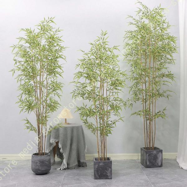 【発売日：2026年01月13日】■素材：本体・葉=PE■ フォルムを自由に調整できる!■ ペットや小さなお子さまがいても安心!■ 長期不在でもそのまま飾れる!■ 植物アレルギーの方にも配慮できる!■ フェイクグリーンは、リビングやキッチン...