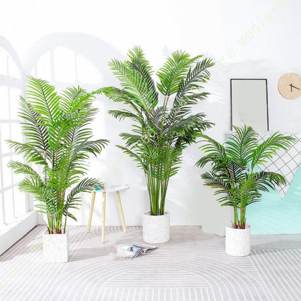 【発売日：2026年01月13日】■素材：本体・葉=PE■ フォルムを自由に調整できる!■ ペットや小さなお子さまがいても安心!■ 長期不在でもそのまま飾れる!■ 植物アレルギーの方にも配慮できる!■ フェイクグリーンは、リビングやキッチン...