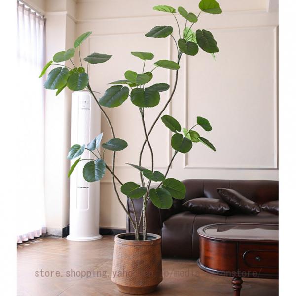 【発売日：2026年01月13日】■素材：本体・葉=PE■ フォルムを自由に調整できる!■ ペットや小さなお子さまがいても安心!■ 長期不在でもそのまま飾れる!■ 植物アレルギーの方にも配慮できる!■ フェイクグリーンは、リビングやキッチン...