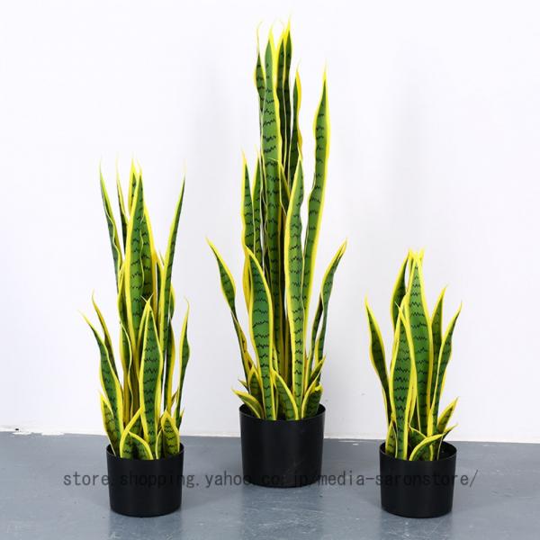 【発売日：2026年03月02日】【高い品質】人工観葉植物は高い品質のプラスチック製を採用しておりますが、一枚ずつの葉が鉢から伸びあがっている姿と表面に浮き出た斑が特徴で、遠くから見たら本物と見間違う程のリアル感です!※ 商品本体にはPP素...