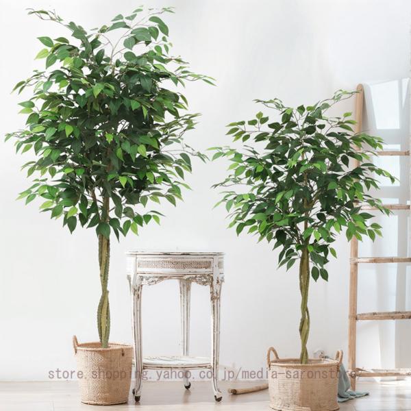 【発売日：2026年01月15日】【リアル】実際の植物の生育特性をシミュレートし、植物の実際の成長特性や鮮やかな葉の色に応じた、リアルな手触りを再現しています!植物そのものの柔らかな緑色を使い、フレッシュでナチュラルな雰囲気に仕上げまし 【...
