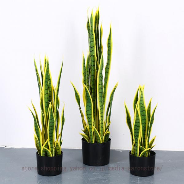 【発売日：2026年01月22日】【高い品質】人工観葉植物は高い品質のプラスチック製を採用しておりますが、一枚ずつの葉が鉢から伸びあがっている姿と表面に浮き出た斑が特徴で、遠くから見たら本物と見間違う程のリアル感です!※ 商品本体には黒いP...