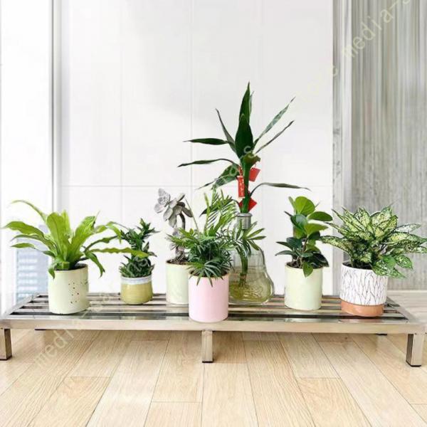 【発売日：2025年11月11日】【サイズ】長さ×幅×高さ：25*25*10cm 30*30*10cm 35*35*10cm 40*40*10cm 45*45*10cm 50*50*10cm 55*55*10cm 60*25*10cm 60...