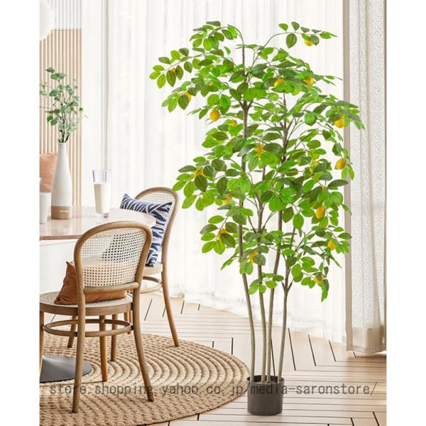 【発売日：2025年10月31日】【上質なフェイクグリーン】これらの観葉植物フェイクはプラスチック製であるため、耐久性があり、清潔でありやすく、外観が非常にリアルであります!【まるで本物!】置く場所は地面に直接取り付けても装飾鉢に入れても、...