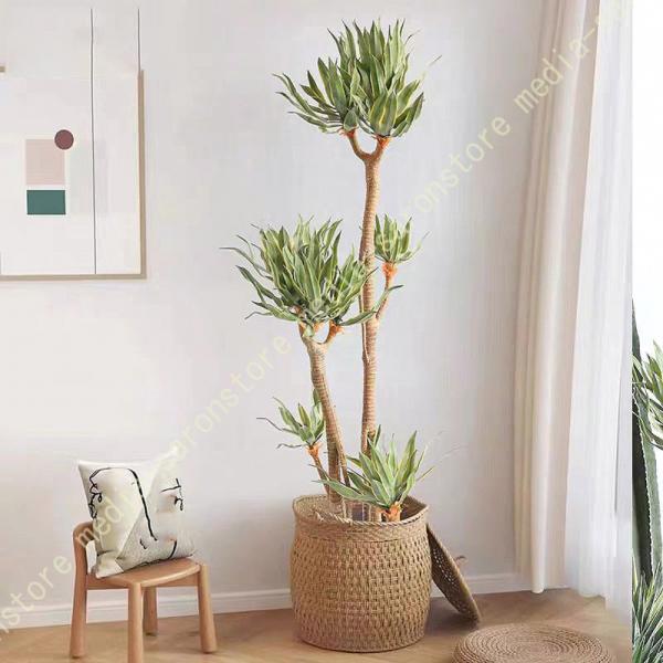 【発売日：2025年12月15日】自然さと美しさ： 本物のような美しさ!落ち着いた緑色の葉が、お部屋に上質な安らぎをもたらします!メンテナンスの楽さ： 水やり不要、日光もいらない!枯れる心配が一切ないので、忙しい方に最適です!耐久性と設置の...