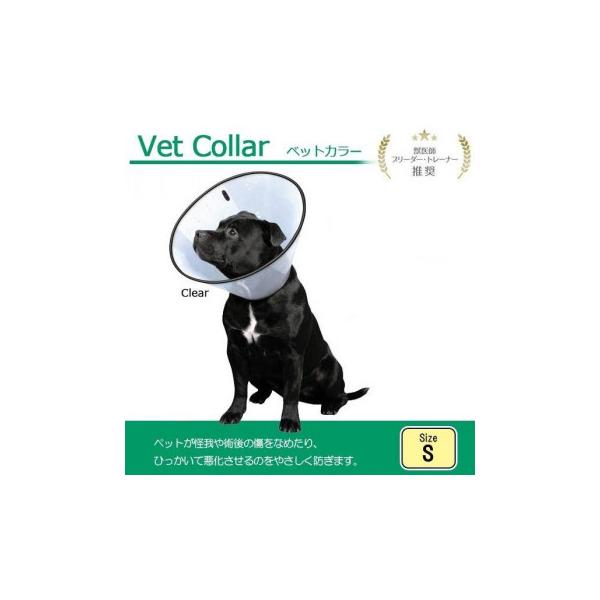 ※お届け地域により、別途運賃がかかる場合やお届けできない場合がございますので、お問い合わせ下さい。