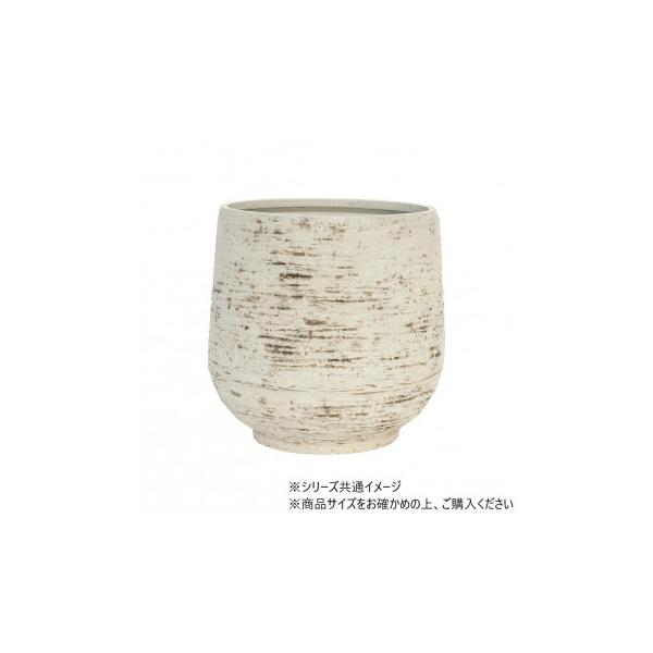 ※お届け地域により、別途運賃がかかる場合やお届けできない場合がございますので、お問い合わせ下さい。