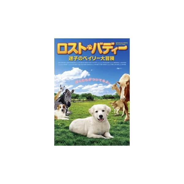 5000円以上送料無料の対象商品です。 爆買【バーゲン】(監督) スティーヴ・フランク (出演) ブラッド・ホーキンス、ゴールデンレトリーバー(ラクダ)、シマウマ(カンガルー)、レッサーパンダ (ジャンル) 洋画 ファンタジー ファミリー ...