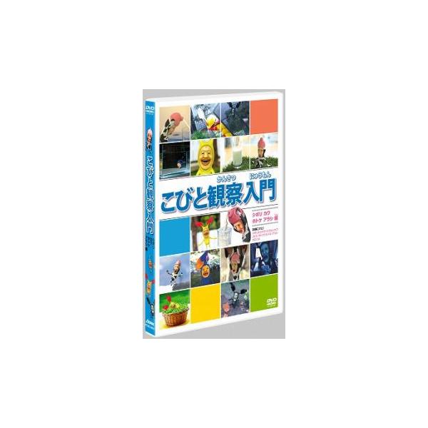 5000円以上送料無料の対象商品です。 爆買【バーゲン】 (ジャンル) アニメ キッズ ファンタジー (入荷日) 2026-03-17、 y0515724-001