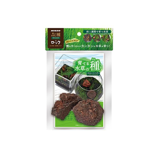 水草の種とコンパクトサイズの溶岩岩をセットにした天然素材のアクセサリーです。自分だけの水草レイアウトが楽しめます。