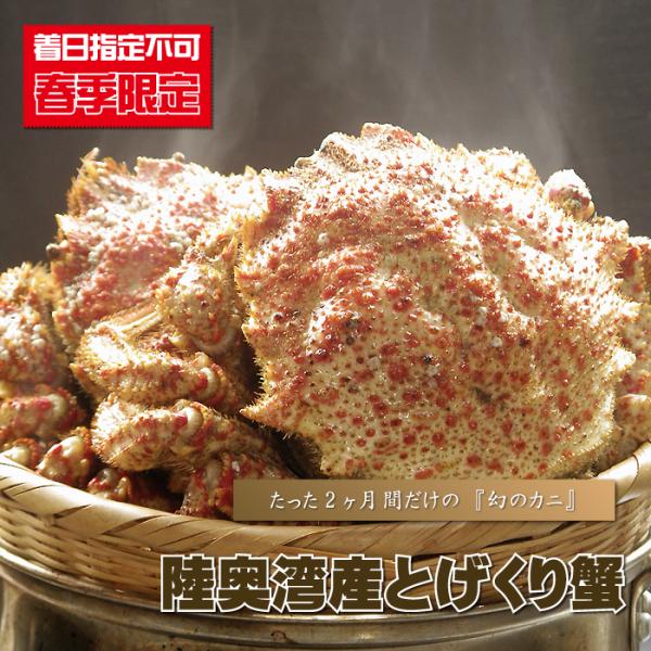 【発売日：2026年04月20日】■商品内容 ： 陸奥湾産とげくり蟹（メス）■内容量 ： ５００ｇ前後（２杯〜４杯入り）■産地 ： 青森県産■賞味期限 ： 冷蔵庫で約２日間■お召し上がり方法 ： ボイル冷蔵なので、到着後、そのままスグにお召...