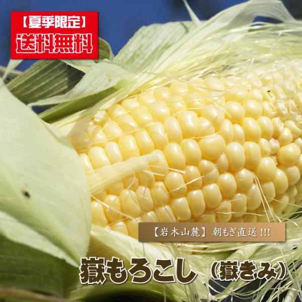 【発売日：2026年08月20日】■商品内容 ： 岩木山麗の朝もぎ『嶽もろこし（嶽きみ）』/１０本■産地 ： 青森県産■賞味期限 ： 冷蔵庫で約３日間■お召し上がり方法 ： 生でも食べれる！　煮ても、焼いても、シャキシャキあまぁ〜い♪　バー...