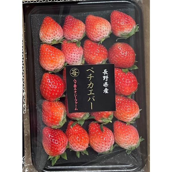 風味に優れた夏いちご。歯ごたえがある割に果汁もたっぷりで、酸味と甘みどちらも合わせもち、食べた後の香りは桃のようと表現する人も。きれいな円錐形で、大果で収量性や秀品率が高く、日持ちもしやすい特性を持っています。風味を楽しみたい人にお勧めの品...