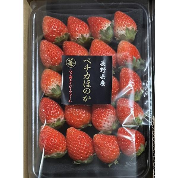 甘みと香りが強くジューシーな食味が特徴のペチカほのか。表面は全体に淡い赤に色付き、柔らかな果皮は口当たりが良く、中の果肉は白く、中心部の空洞はわずかです。収穫のピークには一粒40〜50gを超える大粒のものが採れ、赤く熟した実は格別の風味と甘...