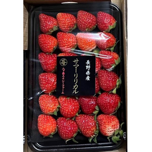 長野県内でしか栽培が許可されていない夏いちごのサマーリリカル。美味しい水と、いちごに適した環境で育てられるので、酸味と甘みをどちらもあわせもち、断面の切り口が赤いため、フルーツサンドなどやタルトに使うと見た目も味もGood。パフェなどの盛付...