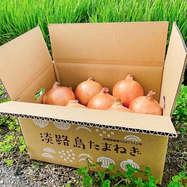 淡路島たまねぎブランド「いくたま」を当農園特製段ボールでお届けします。＊＊＊味＊＊＊科学的にも淡路島産玉ねぎは甘くて柔らかいことが知られています。貯蔵すればするほど甘みは増し、加熱調理することでさらに甘みが引き出されます。＊＊＊栽培のこだわ...