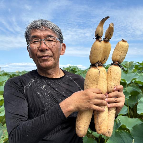岡山県の肥沃な干拓地で、約40年にわたりれんこんと向き合ってきた生産者・佐々木農産。その長年の経験から生まれたのが、「桃太郎れんこん」です。在来種の「備中」や「シロ」、加賀れんこん、金澄など、さまざまな系統を栽培し、自然交配した中から選び抜...