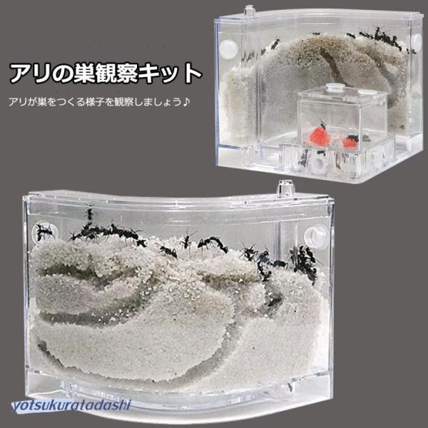 アリの巣　あり観察キット　飼育ケース　砂　自由研究 小学生 あり 蟻 飼育セット 実験セット 観察　夏休み　学習用　アリの巣　あり観察キット　アリの巣観察キット　アリ　巣　観察　飼育ケース　砂　自由研究 小学生 キット あり 蟻 飼育セット...