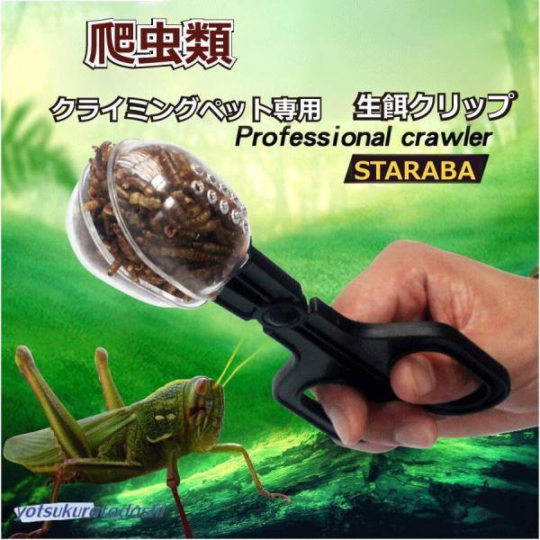 爬虫類 トカゲ 餌やり簡単 生餌 カメレオン