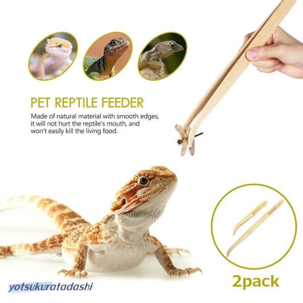 爬虫類 トカゲ 餌やり ピンセット２点セット 大 小