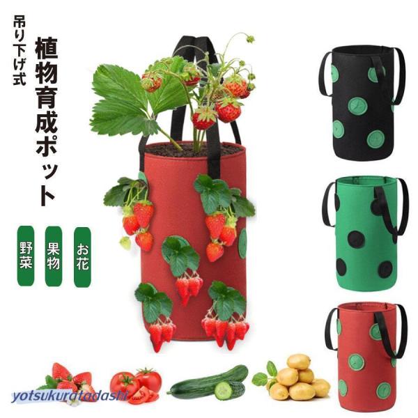 栽培ポット 吊下げ 苗 栽培 菜園 プランター 屋内 植物 観葉植物野菜 育てる プレゼント イチゴ1.成長バッグの2/3に植物に優しい培養土と堆肥を入れ、上部に4つの健康なイチゴ、側面に8つのイチゴを植えます。 2.中央にそっと水を注ぎ、...