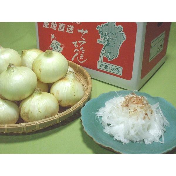 辛みが少なく水にさらさなくても生でそのまま食べられる、ブランド玉ねぎ「サラたまちゃん」 生産者全員がエコファーマー認証を取得し、除草剤の使用禁止や化学農薬、化学肥料を県の慣行レベルから５割削減など特別栽培農産物として出荷している、美味しいこ...