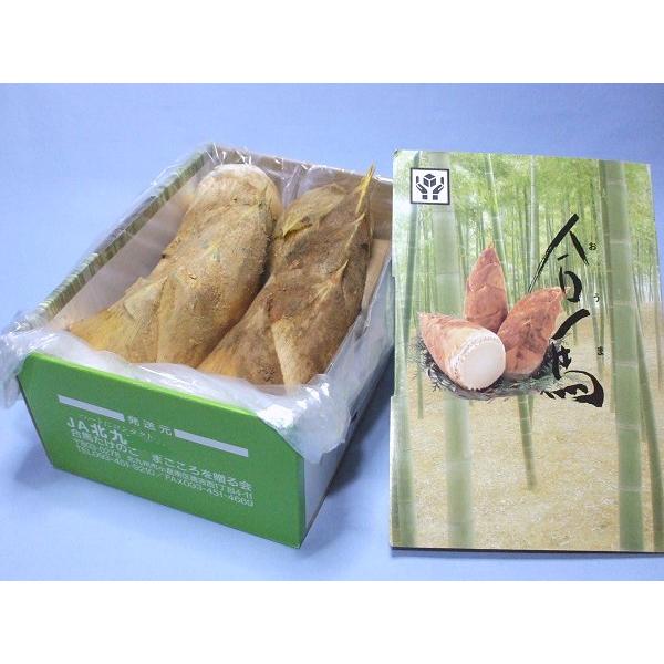 【発売日：2026年03月30日】「合馬たけのこ」のブランドで全国的に知られている春を告げる味覚「筍」やわらかくアクが少ない上質な筍で御座います。ＪＡ北九より出荷される「合馬たけのこ」の中でも通常の市場向け用とは異なり、指定された生産者にて...