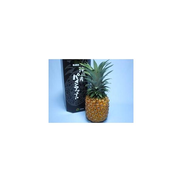 沖縄で交配育成された品種のパインで、生産量の少ない貴重な品種です。大玉で食感が良く芳醇で甘味が強い高級パインとして今人気の一品で御座います。お届けするのは沖縄本島北部やんばるで手間暇掛けて栽培され、ＪＡにて厳選したゴールドバレルで御座います...