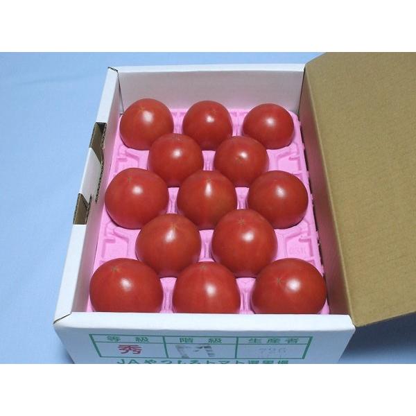 海に近い干拓地の土壌は塩分の濃度が高く、栽培しているトマトにはストレスがかかります。その為普通に出来上がるトマトよりも小ぶりで皮が固めになりますが、その一方で干拓地のミネラル豊富な土壌成分も手伝って、味の濃い、糖度の高いトマトに仕上がります...