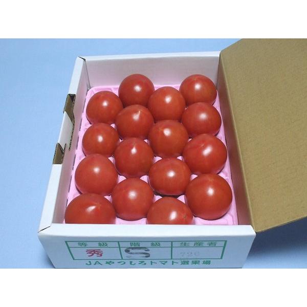 海に近い干拓地の土壌は塩分の濃度が高く、栽培しているトマトにはストレスがかかります。その為普通に出来上がるトマトよりも小ぶりで皮が固めになりますが、その一方で干拓地のミネラル豊富な土壌成分も手伝って、味の濃い、糖度の高いトマトに仕上がります...