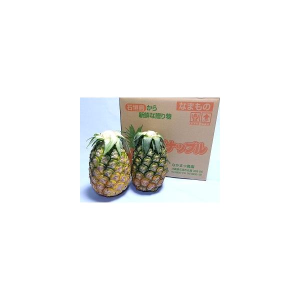 ハワイから導入され沖縄では昔から栽培されている品種で、新しい品種と区別することから「在来種」や「島パイン」等とも呼ばれ、今でも生産量が豊富なパインです。１玉１ｋｇ前後の大きさで、果汁が豊富でパインらしい爽やかな酸味と甘さのバランスが良いのが...