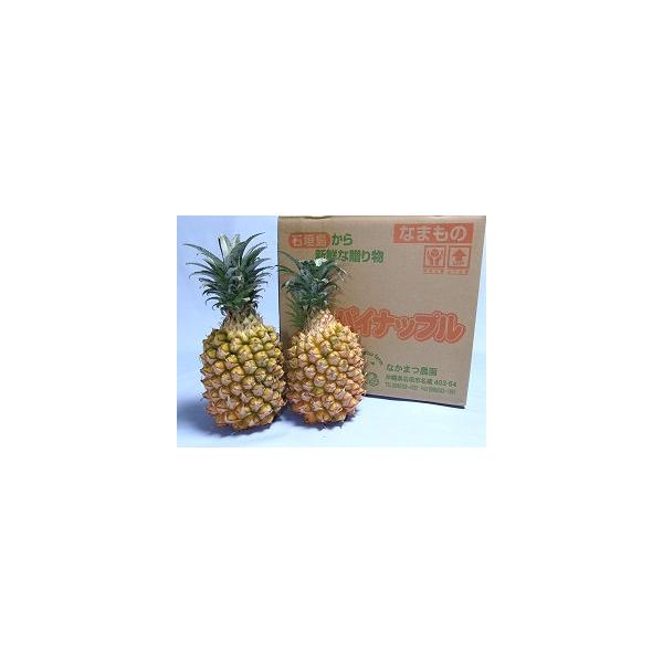ボゴールと呼ばれる品種でスナックパインの名前で親しまれております。芯の部分まで柔らかく手でちぎって食べられるのが最大の特徴です。甘みも十分にあり、大きさもちょうど良く、まさにその名の通り手軽にパインを楽しめる品種です。石垣島で栽培、完熟した...