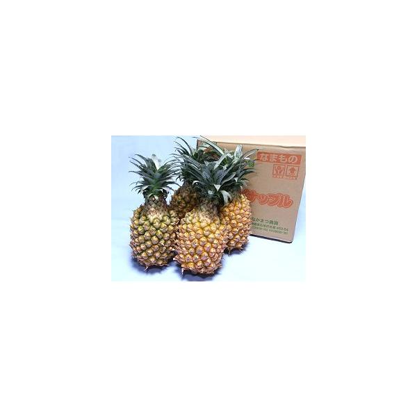 ボゴールと呼ばれる品種でスナックパインの名前で親しまれております。芯の部分まで柔らかく手でちぎって食べられるのが最大の特徴です。甘みも十分にあり、大きさもちょうど良く、まさにその名の通り手軽にパインを楽しめる品種です。石垣島で栽培、完熟した...