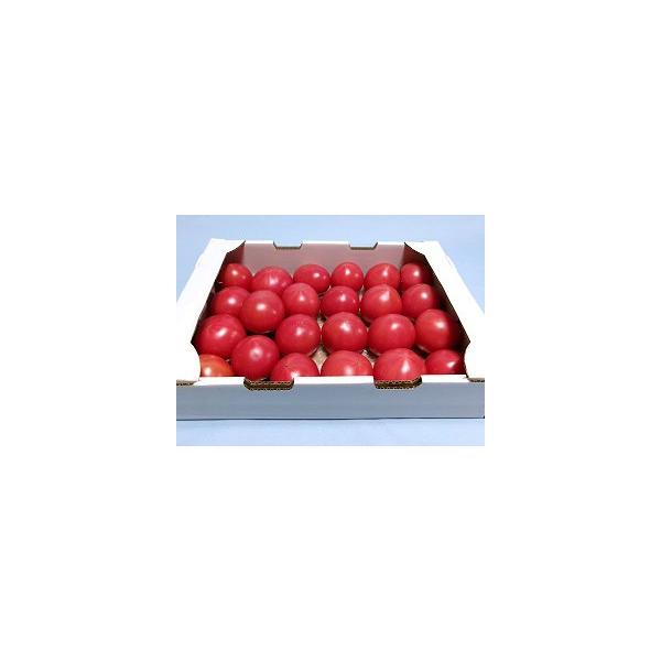 有明海の干拓地である佐賀県川副はミネラルを多く含む良質な土地で栽培されている「ひばりトマト」は、酸味と甘味のバランス、食感の良さに定評のある「サンロード」という品種の大玉トマトで、長年培った栽培技術と徹底した栽培管理により一般的なトマトとは...