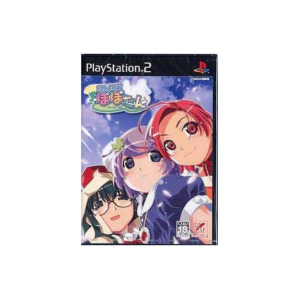 【発売日：2004年03月11日】■商品説明【ページ内の写真・画像はすべてサンプルです】箱、説明書有り。■注意事項・カートリッジソフトの場合は全て端子清掃しています。・バックアップ電池内蔵製品の残量保証はありません。・電子説明書等で、説明書...