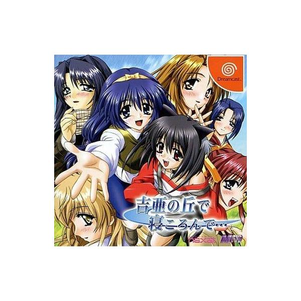 【発売日：2001年12月20日】■商品説明【ページ内の写真・画像はすべてサンプルです】箱、説明書有り。外箱の一部の色がわからないほど日焼け、退色しています。内箱にやや大きめのつぶれ、割れ、やぶれ、変色などがあります。■注意事項・カートリッ...