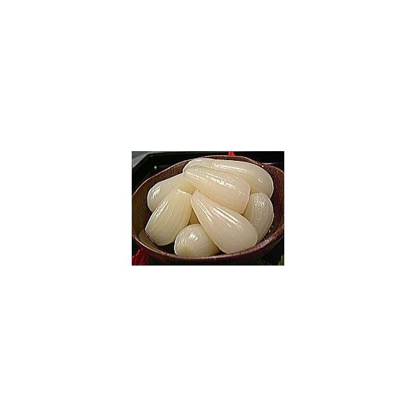 こちらの商品は【　１年堀　】大粒ラッキョウです原材料 ラッキョウ(福井県産) 塩 (樹脂製容器入)　賞味期限：１ヵ月 配送温度帯 常温便 保存方法 冷蔵保存ご注意 写真とでは見た目や色合い パッケージなど実物とは異なります　 沖縄、北海道一...