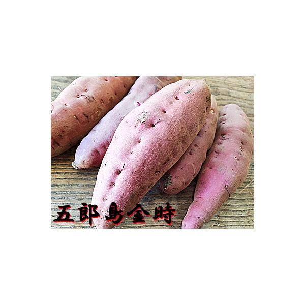 商品内容 五郎島金時 さつまいも 石川県産 　形・サイズのご指定不可[大きさは１本当り約100〜1kｇが目安][ワケアリ格安品でキズ 傷み付のものもありますので ご了承いただいた上でご注文下さいませ] 賞味期限：約１ヶ月程度 保存方法 美味...
