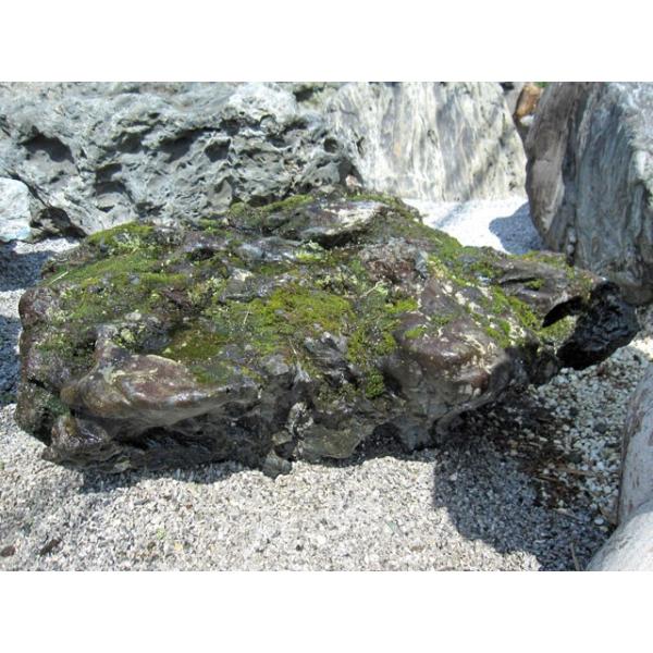 和風庭園を演出する庭石 北海道 幸太郎石 (景石)【サイズ】高さ約60cm×幅約1m50cm×奥行約81cm商品番号：n-kur1807-037弊社庭石展示場にて現品を展示しておりますので、現物をご覧いただくことができます。お気軽にお出かけ...