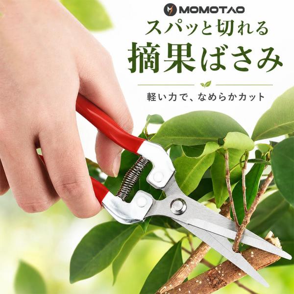細かな作業に使いやすい、摘果収穫用はさみです。先端が細く、枝葉のすき間にも入りやすいため、果実の摘果や収穫、観葉植物盆栽のお手入れに便利です。特徴細い刃先で狙った箇所をカットしやすい摘果、収穫、細かな剪定作業に適しています。ハードクロームメ...