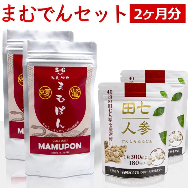 【発売日：2020年02月28日】