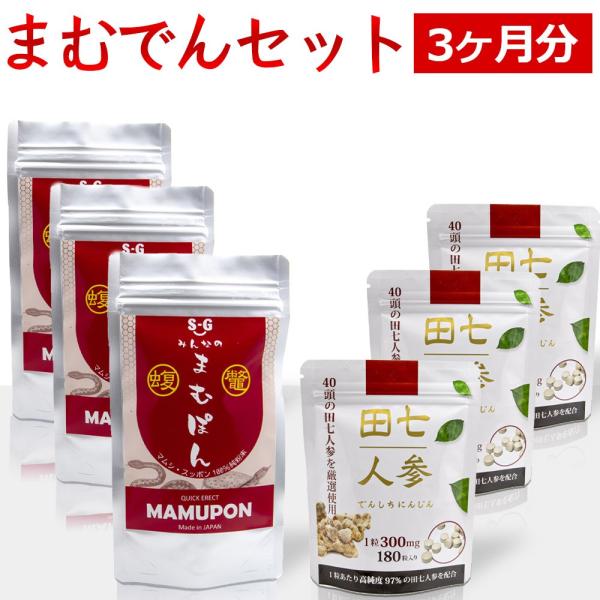 【発売日：2020年02月28日】